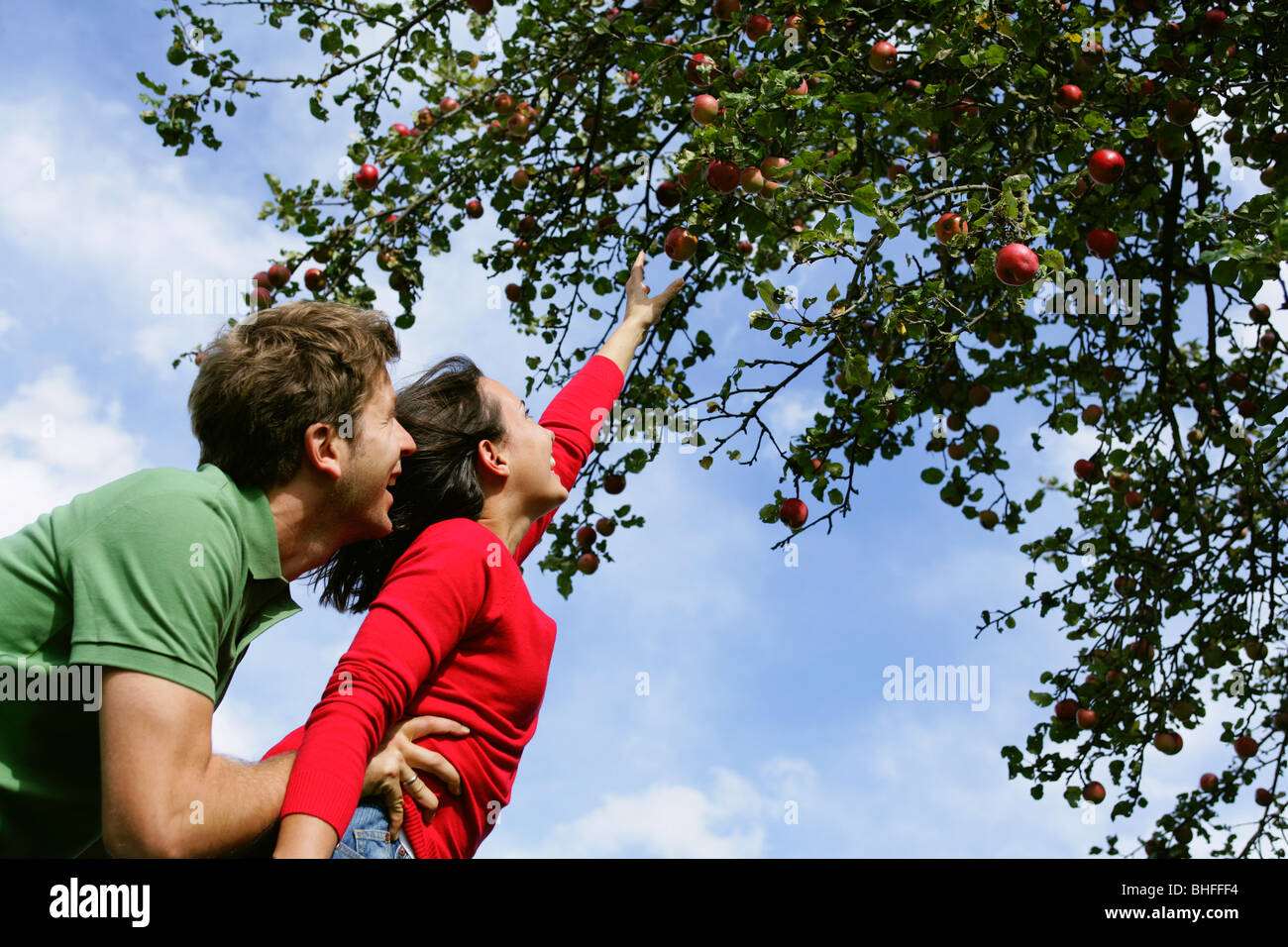 Couple under an apple tree, woman reaching for an apple, Styria ...