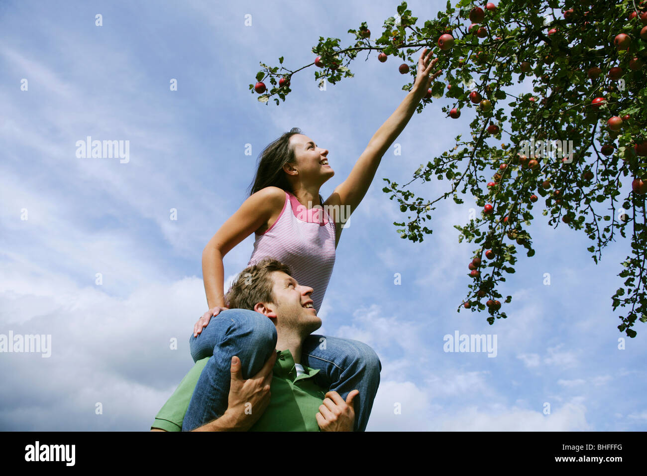 People reaching fruit on tree hi-res stock photography and images - Alamy