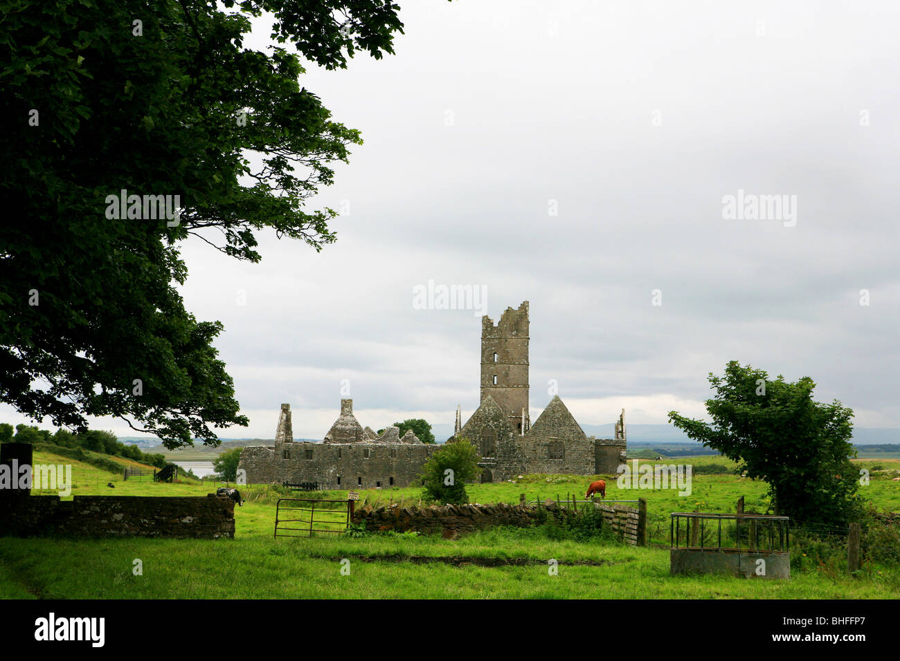 The ruins of the former gothic franciscan monastery Moyne Abbey under ...