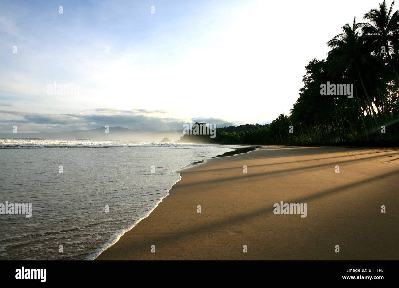 Morning sun shining through coconut palm trees on the beach, Sabang ...