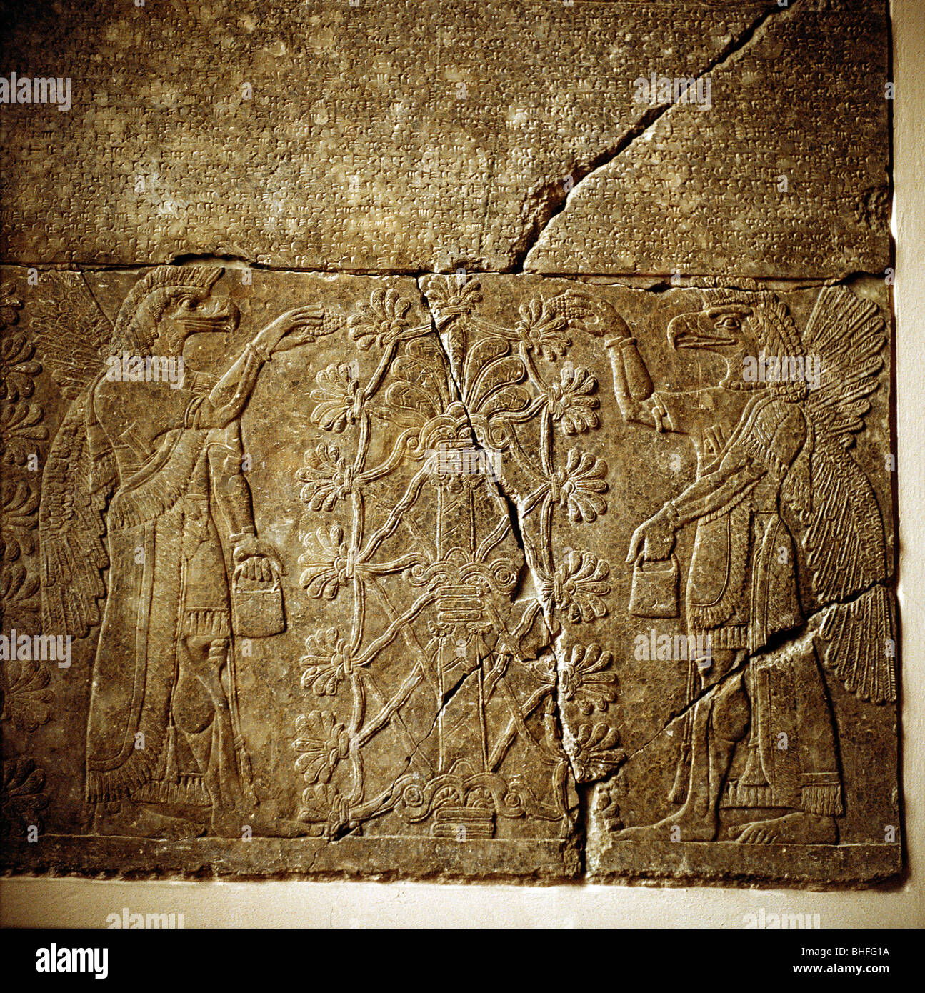 Assyrian sacred tree hi-res stock photography and images - Alamy