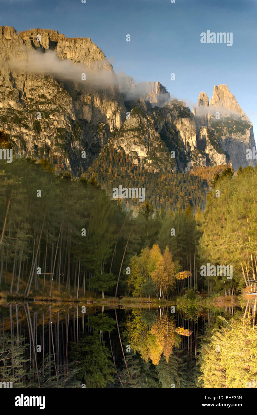 Mountain Forest Tumblr Background