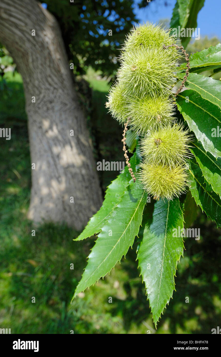 Tra trails hi-res stock photography and images - Alamy