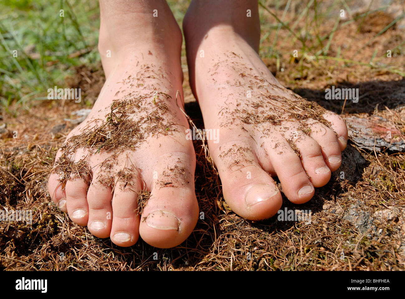 A child's feet on forest soil in the sunlight, South Tyrol, Italy ...