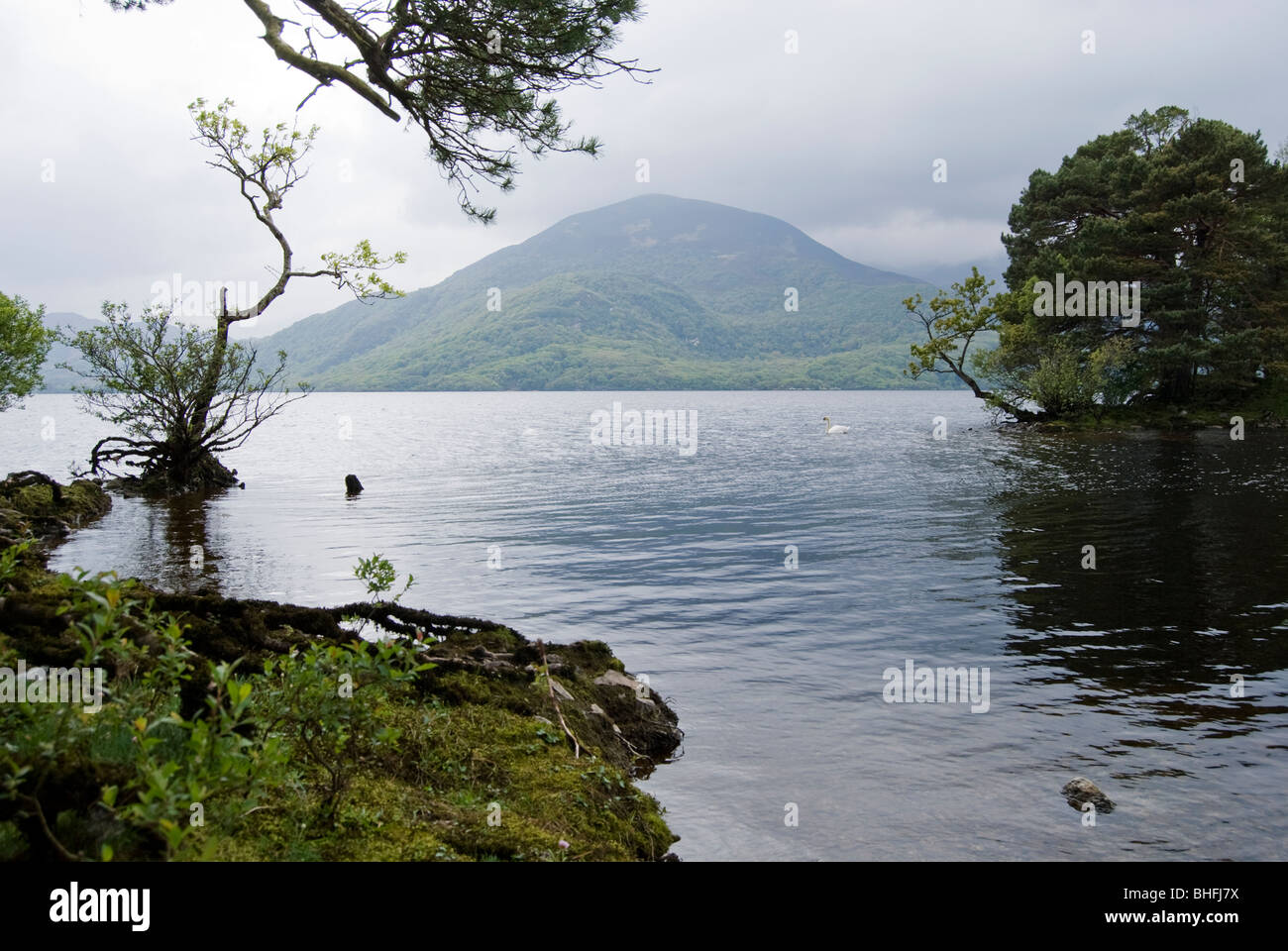 Killarney National Park, Ireland Stock Photo - Alamy