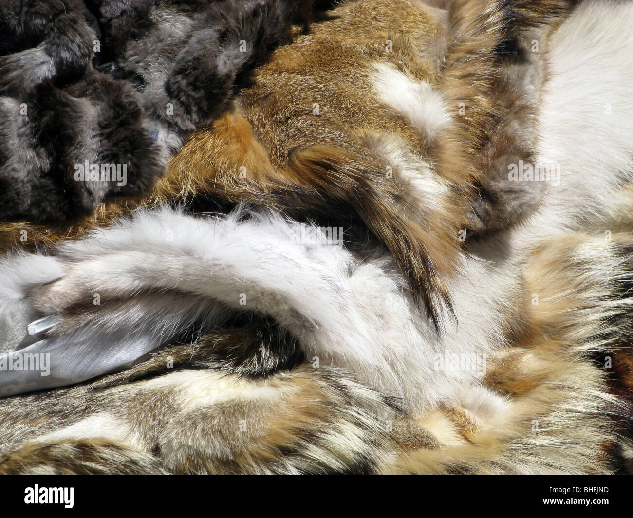 animal fur coats on market stall stand in sun Stock Photo - Alamy