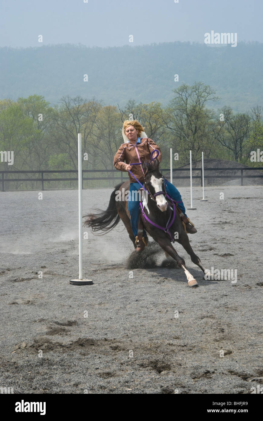 Picture horse rider leaning during hi-res stock photography and images ...
