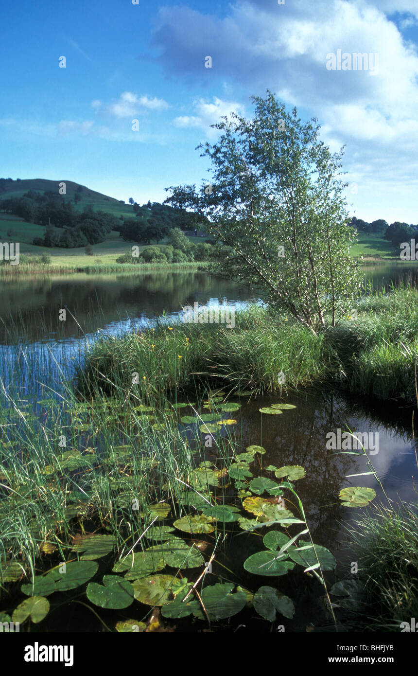 Blelham Tarn and Blelham Bog National Nature Reserve Cumbria England ...