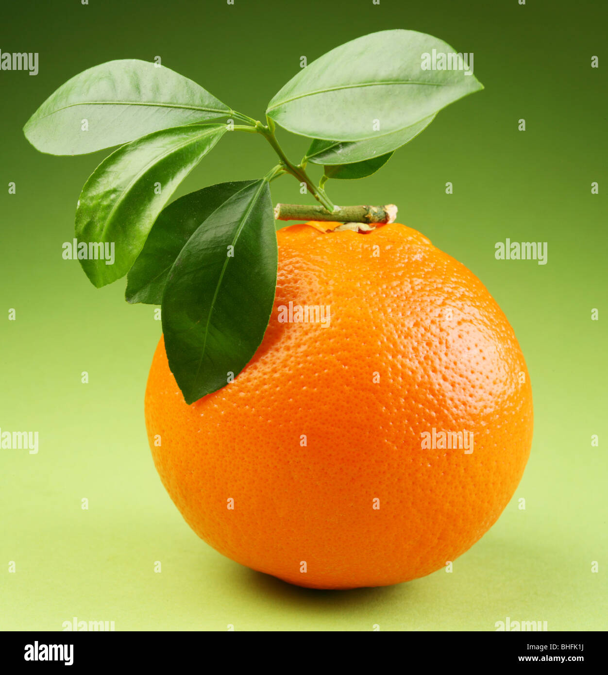 Ripe orange on a green background Stock Photo - Alamy
