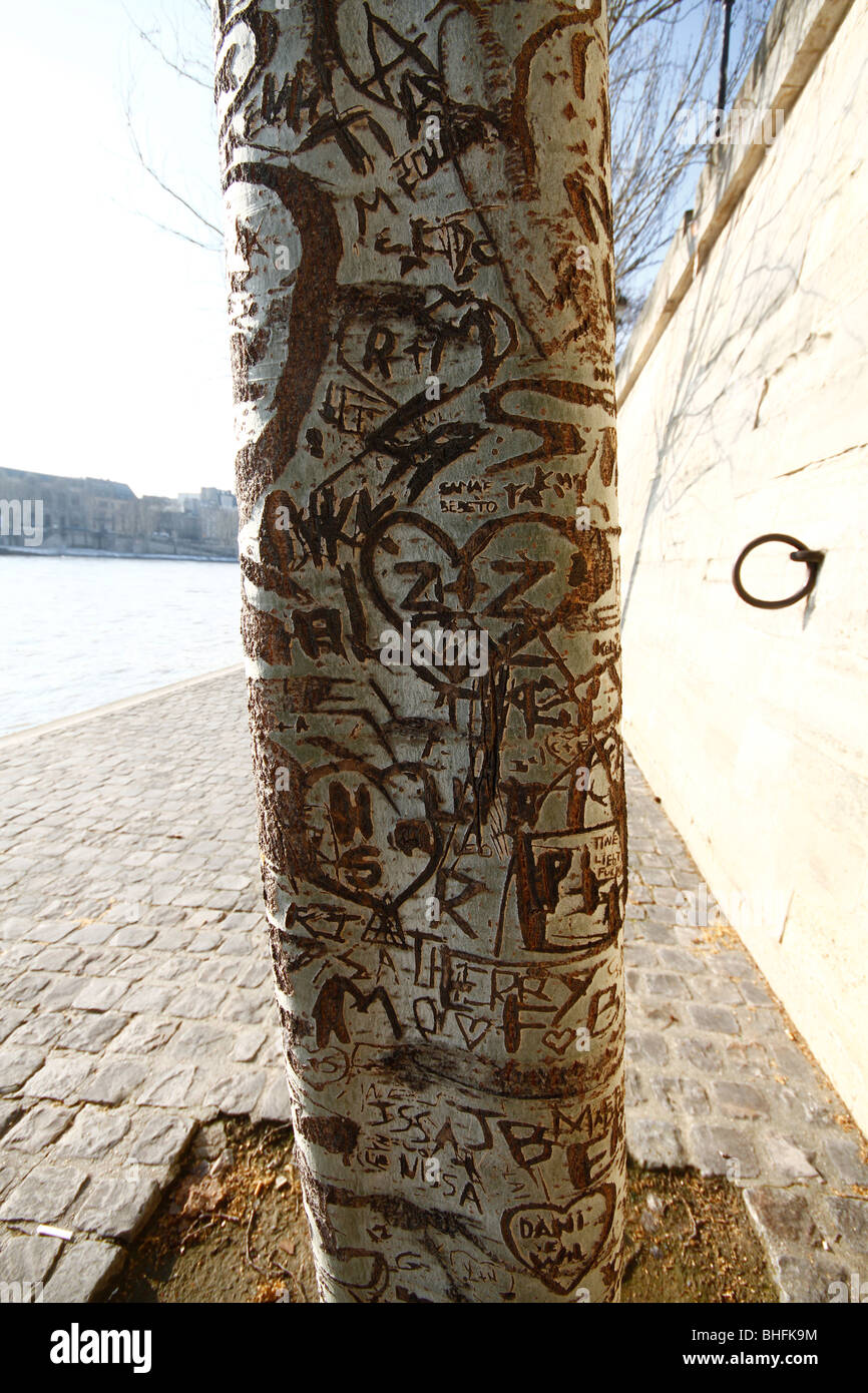 Love message tree hi-res stock photography and images - Alamy