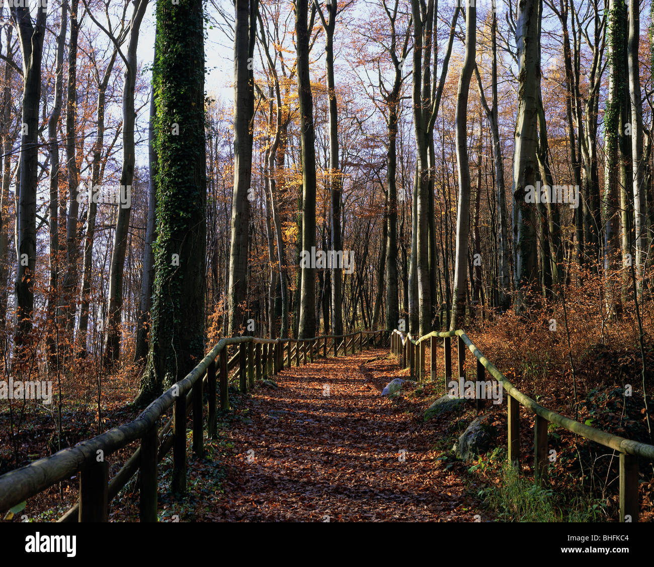 geography / travel, Germany, North Rhine-Westphalia, landscape ...
