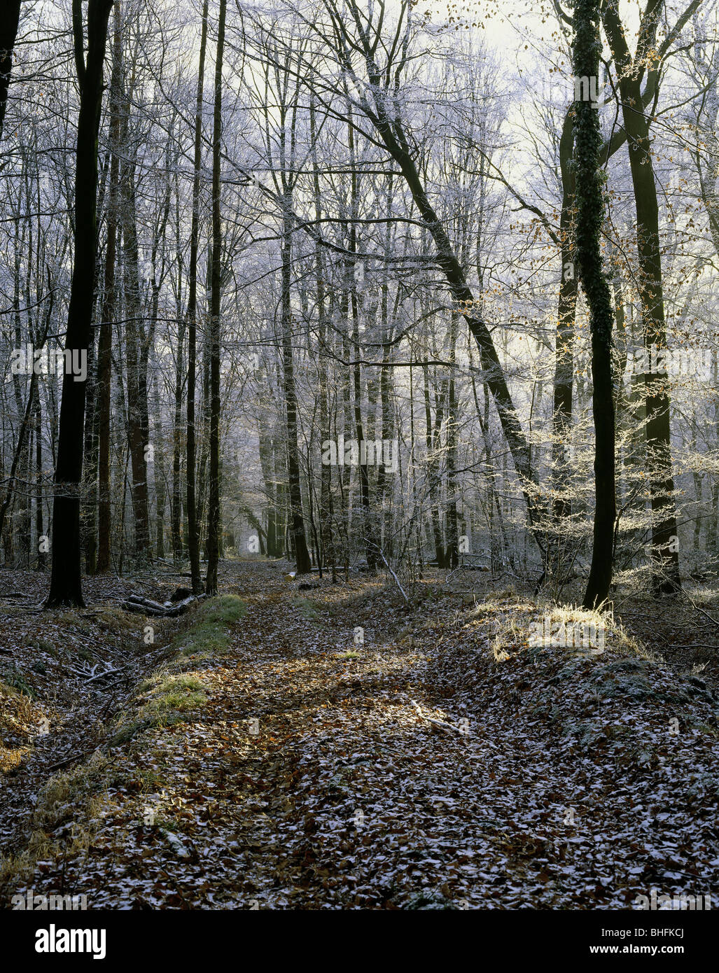 geography / travel, Germany, North Rhine-Westphalia, landscape ...