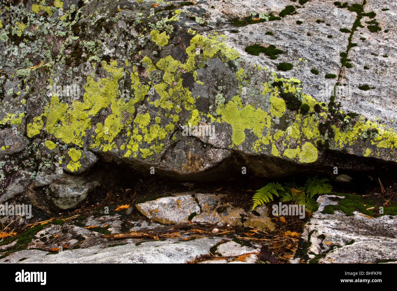 Water-polished rocks in channel of the Sand River with, Lake Superior ...