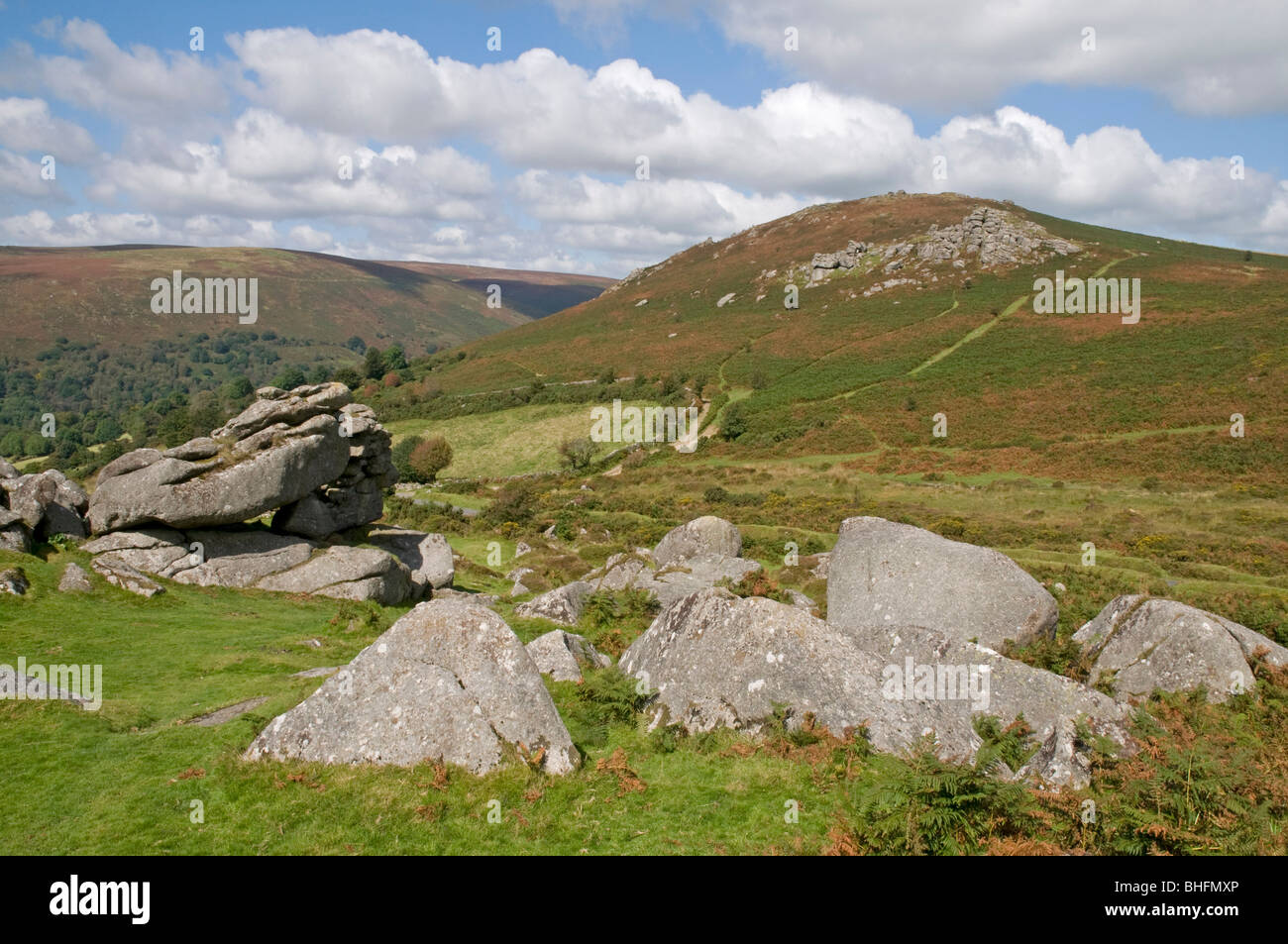 Bonehill Rocks on Dartmoor Stock Photo - Alamy