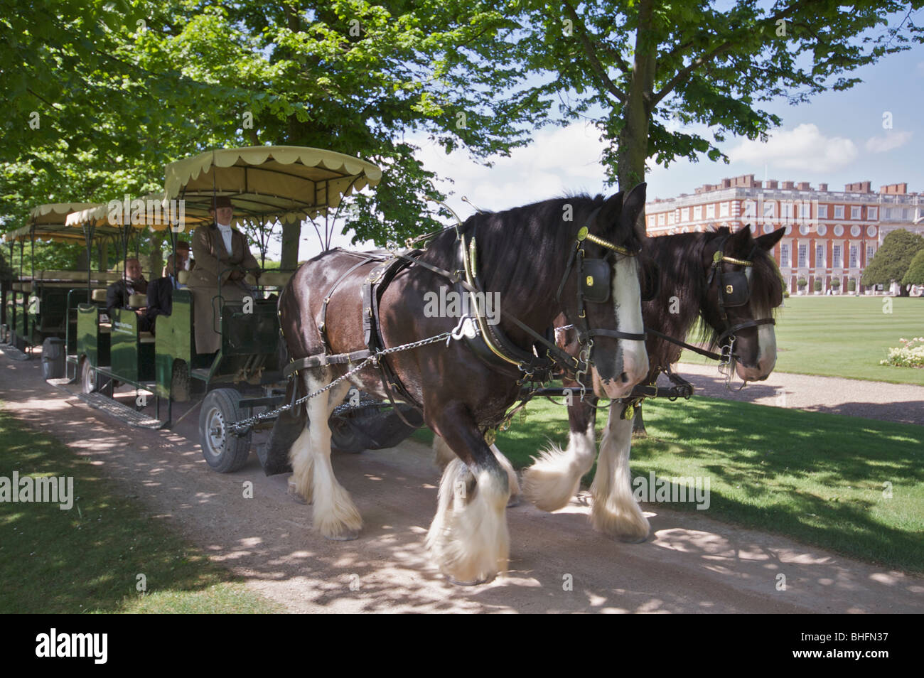 Shire horse pulling cart hi-res stock photography and images - Alamy