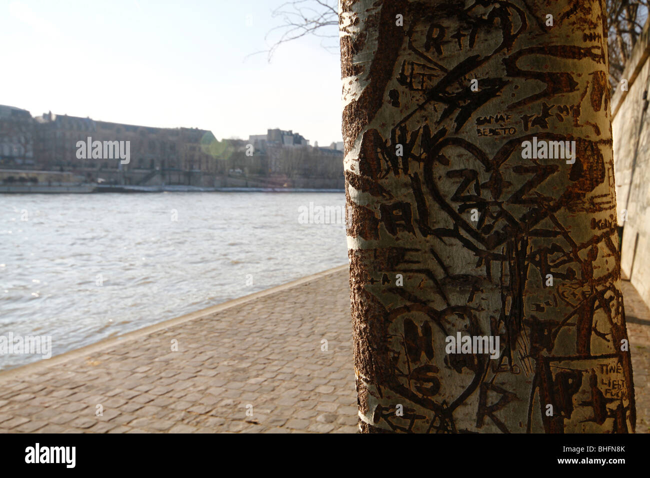 Messages of love carved into a tree Stock Photo - Alamy