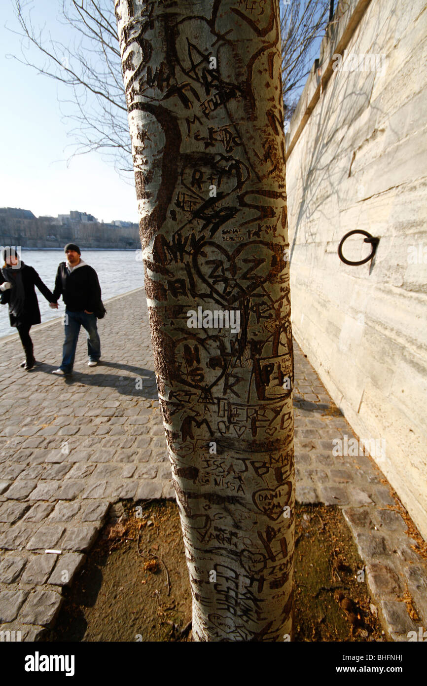 Messages of love carved into a tree Stock Photo - Alamy
