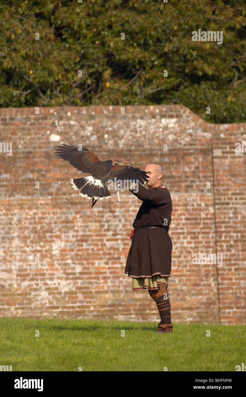 man with falcon Stock Photo - Alamy