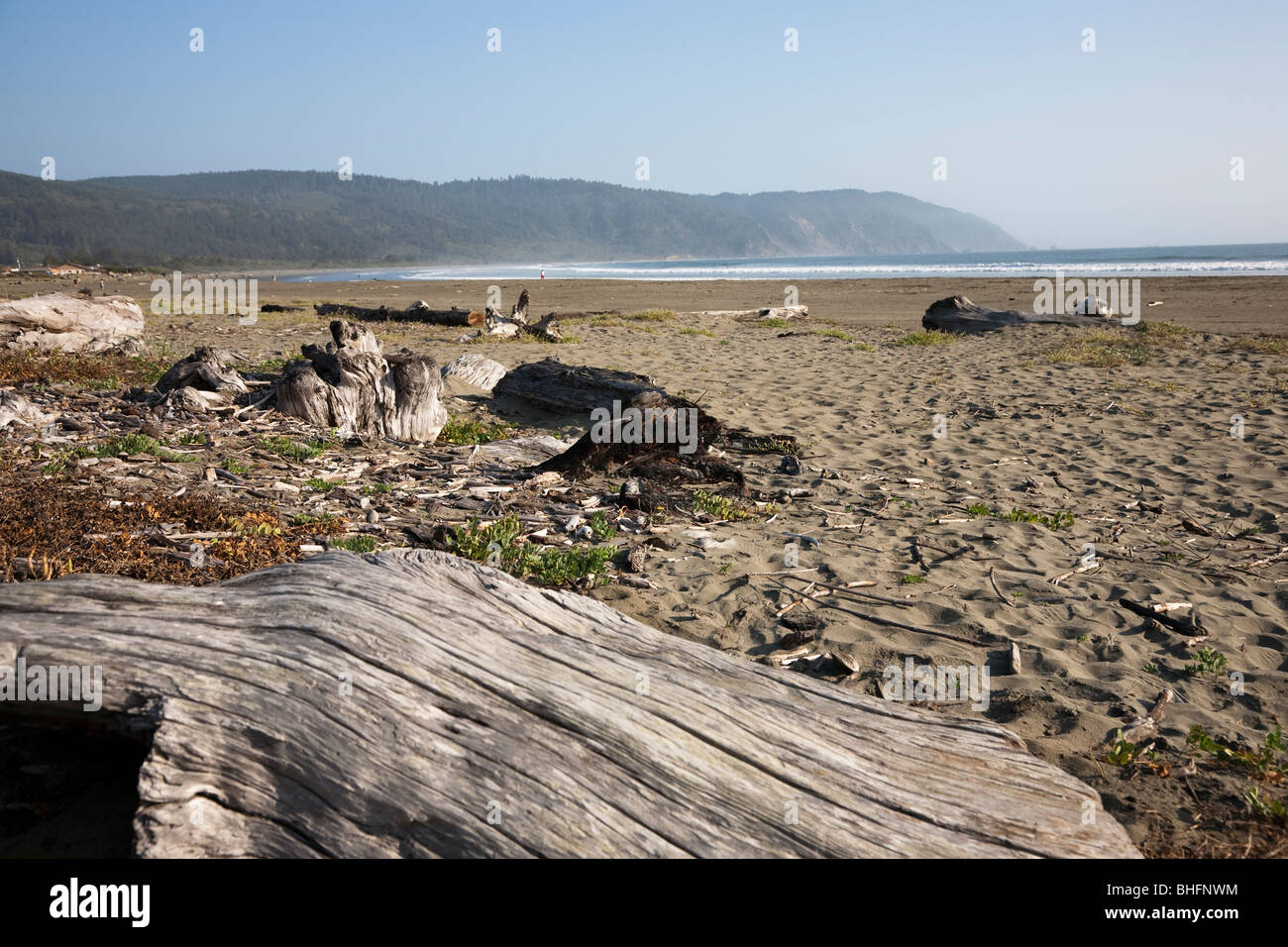 Eureka california beach hi-res stock photography and images - Alamy