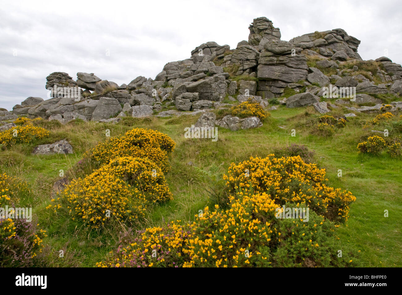 Bonehill rocks on dartmoor hi-res stock photography and images - Alamy