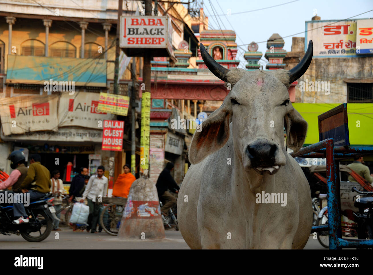 Street scene in Varanasi Stock Photo - Alamy