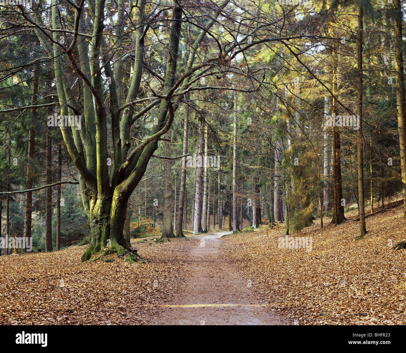 geography / travel, Germany, North Rhine-Westphalia, landscape ...