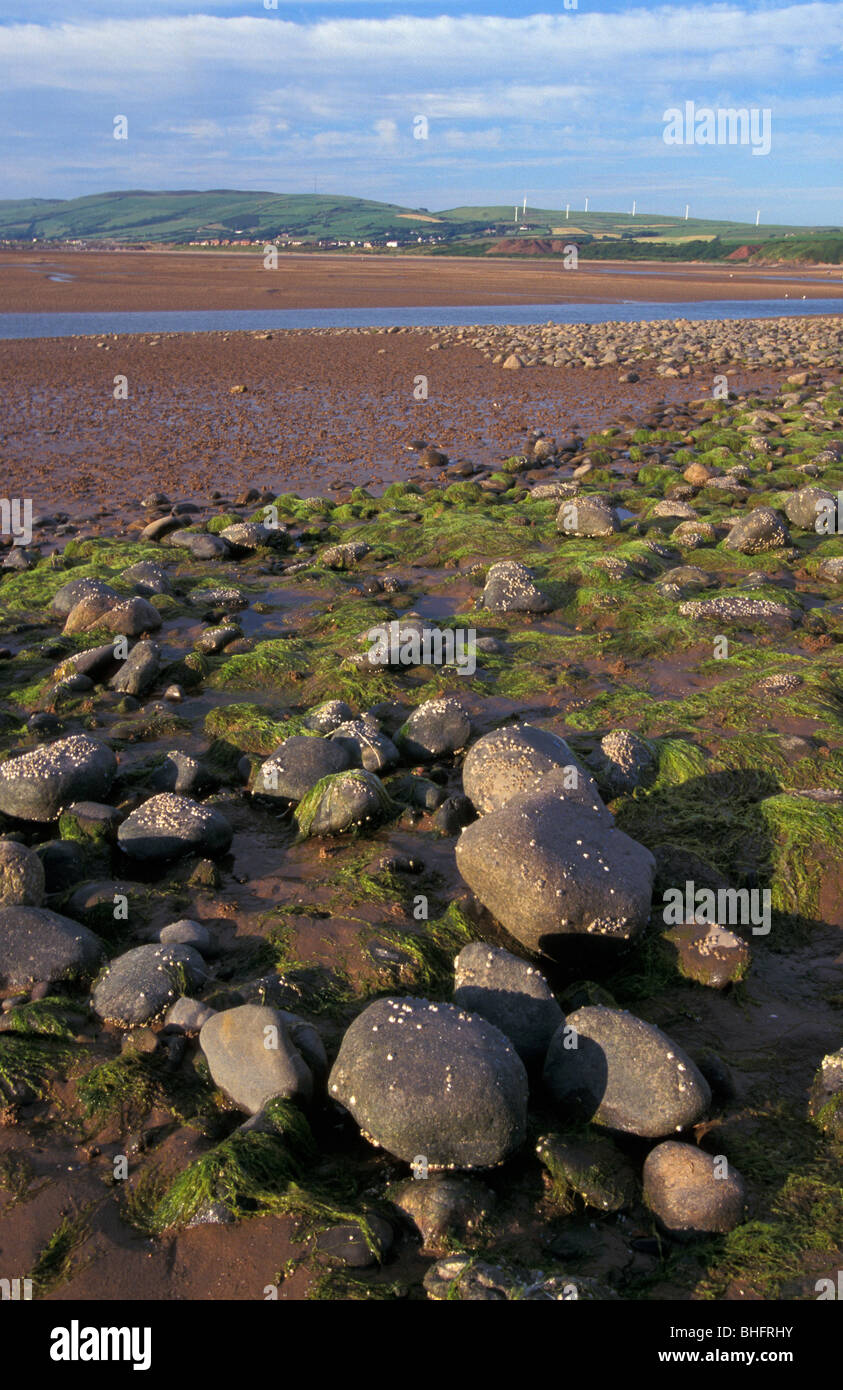 Sandscale Haws National Nature Reserve with Cumbria mountains behind ...