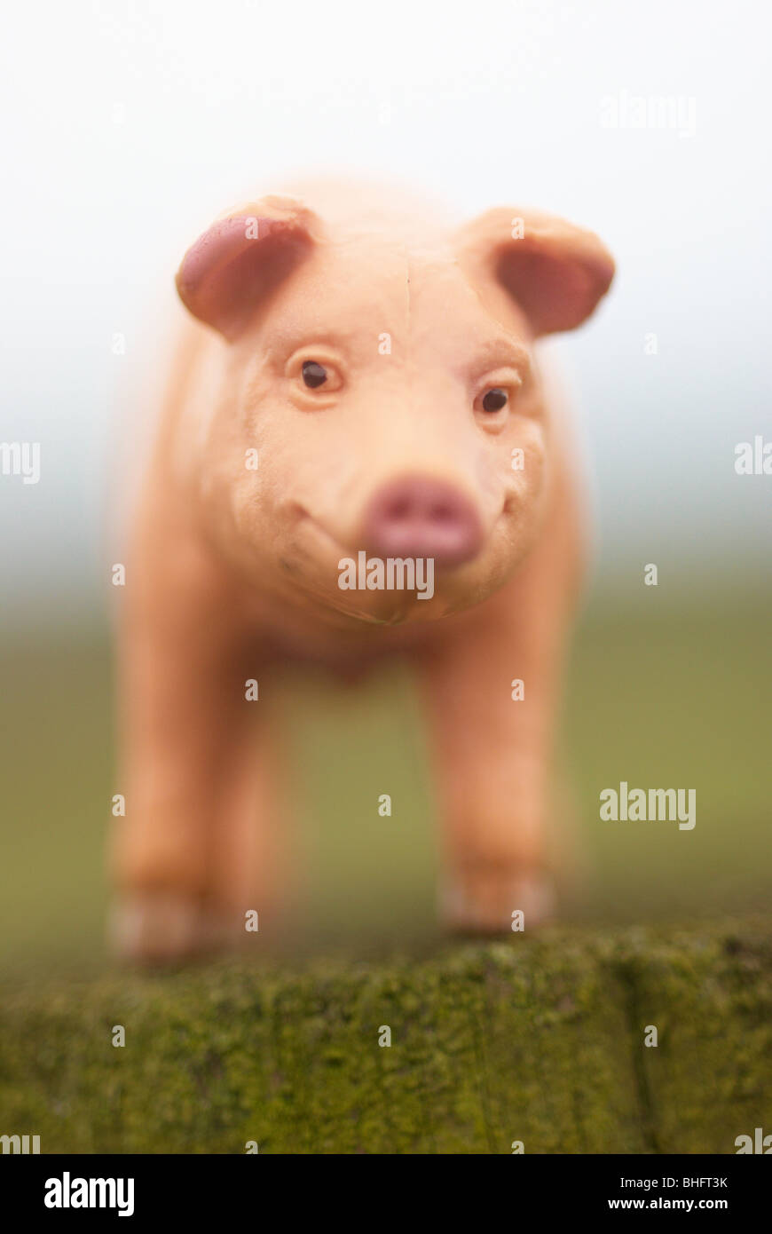 Plastic pig model photographed in a field Stock Photo - Alamy