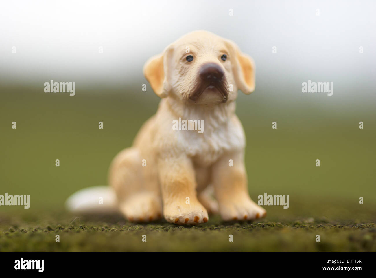 plastic model of a golden retriever puppy photographed outdoors Stock ...