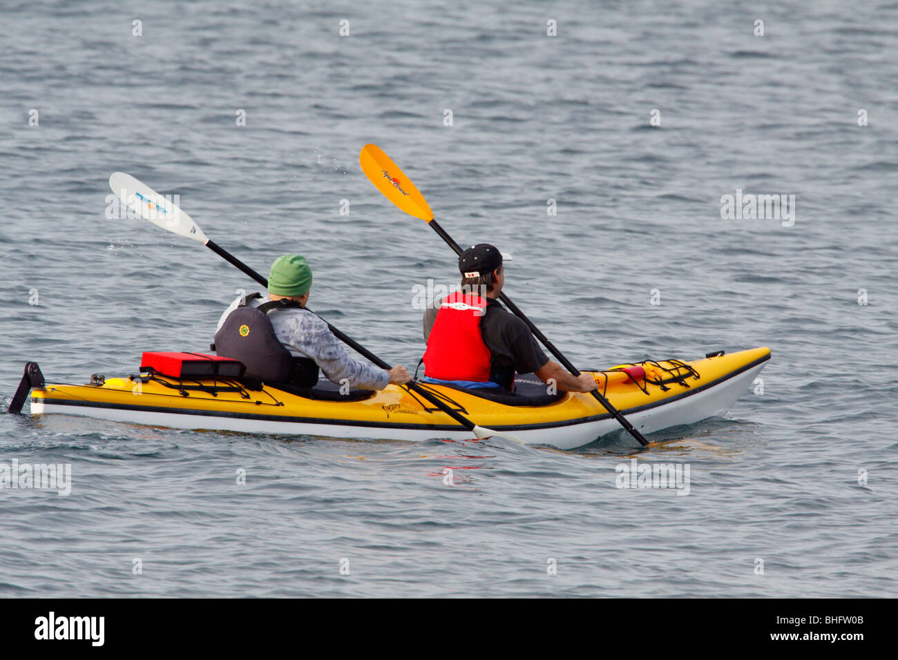 Two friends kayaking in the Pacific ocean-Victoria, British Columbia ...