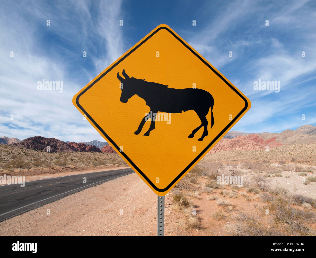 Caution, wild Jackass roaming the Nevada desert Stock Photo - Alamy