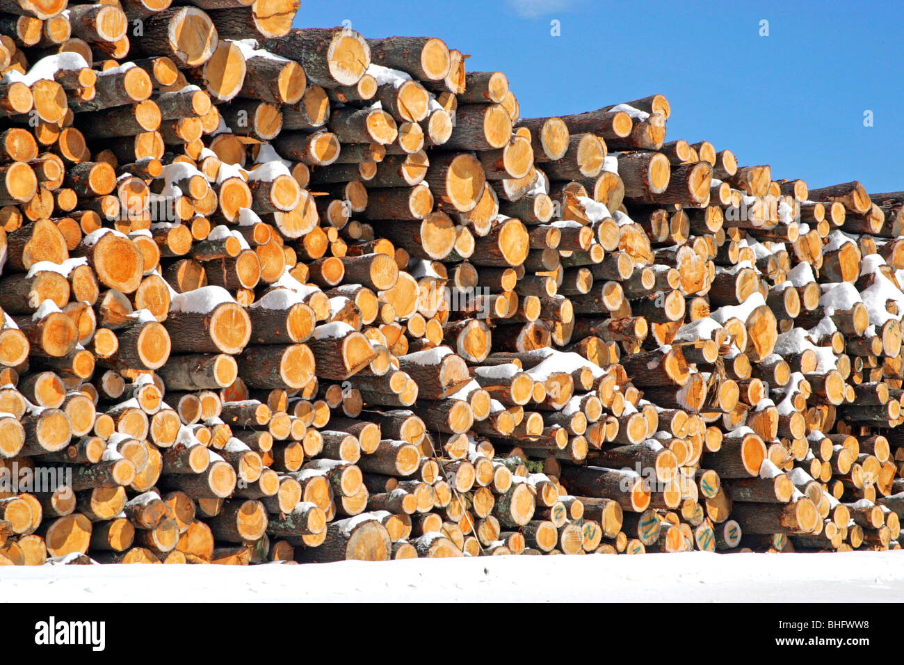 logging lumber mill Springfield NH Stock Photo - Alamy