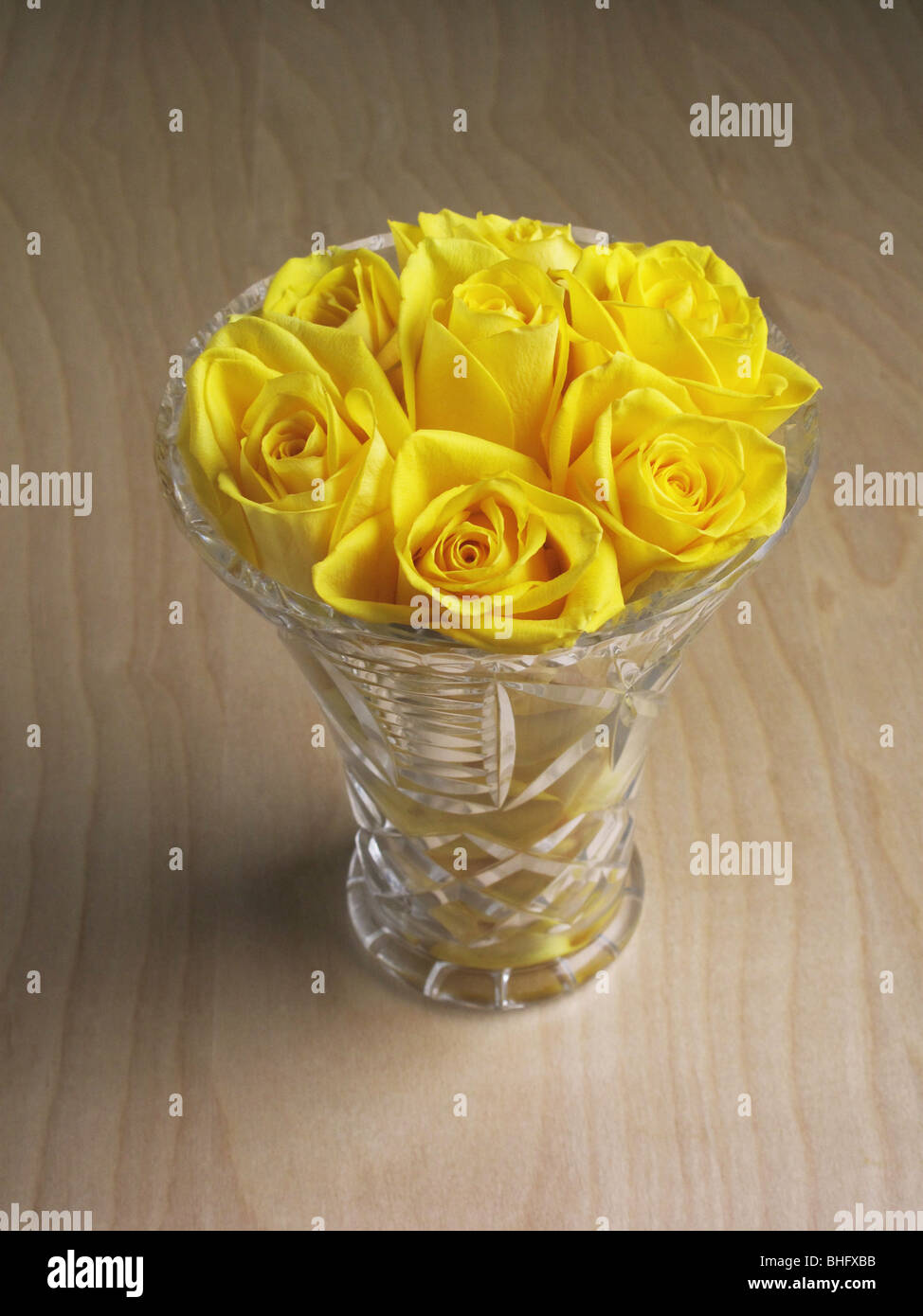 Seven rose hi-res stock photography and images - Alamy