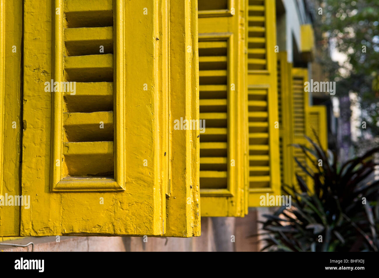 Yellow wooden windows Stock Photo - Alamy