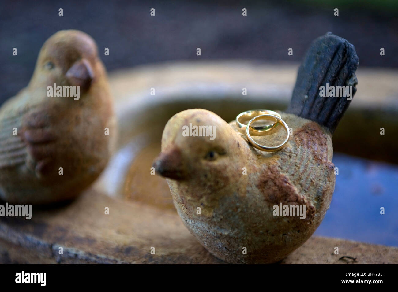 Birds with rings hi-res stock photography and images - Alamy