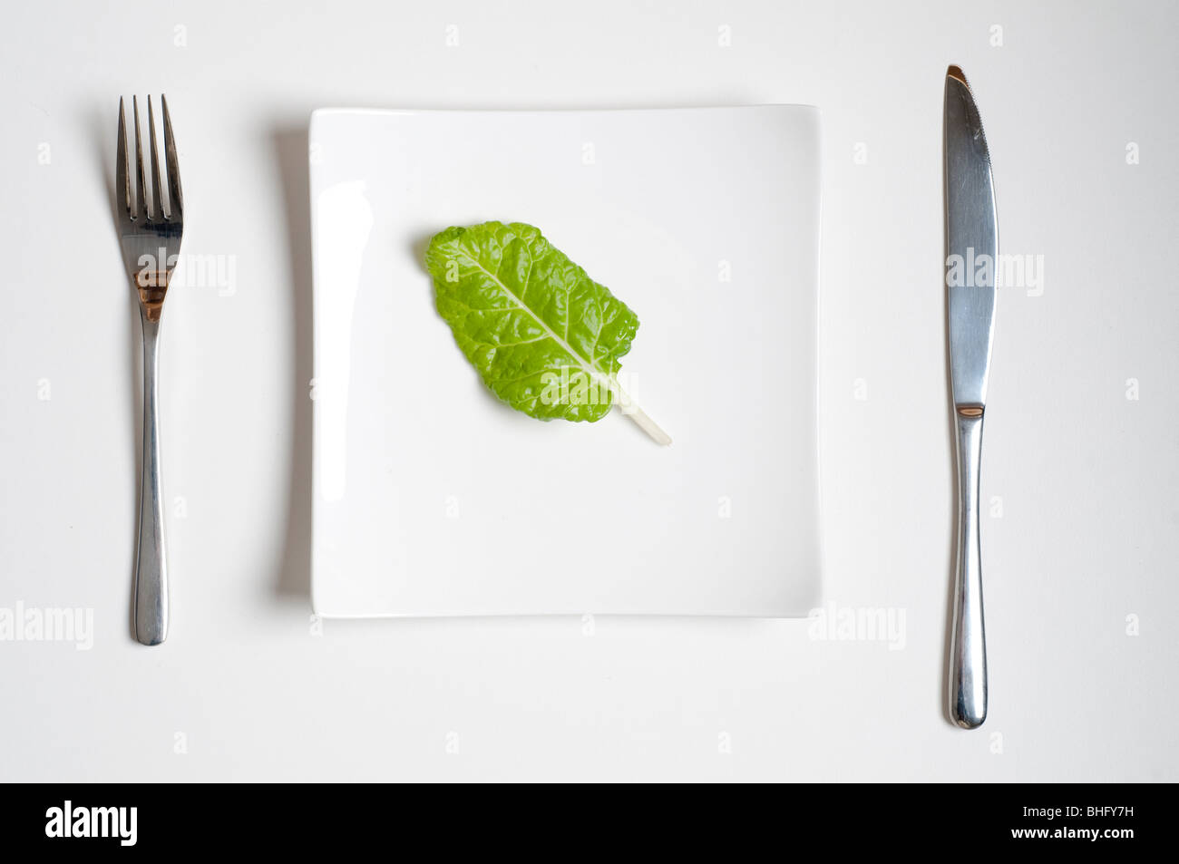 leave on white plate with knife and fork Stock Photo - Alamy