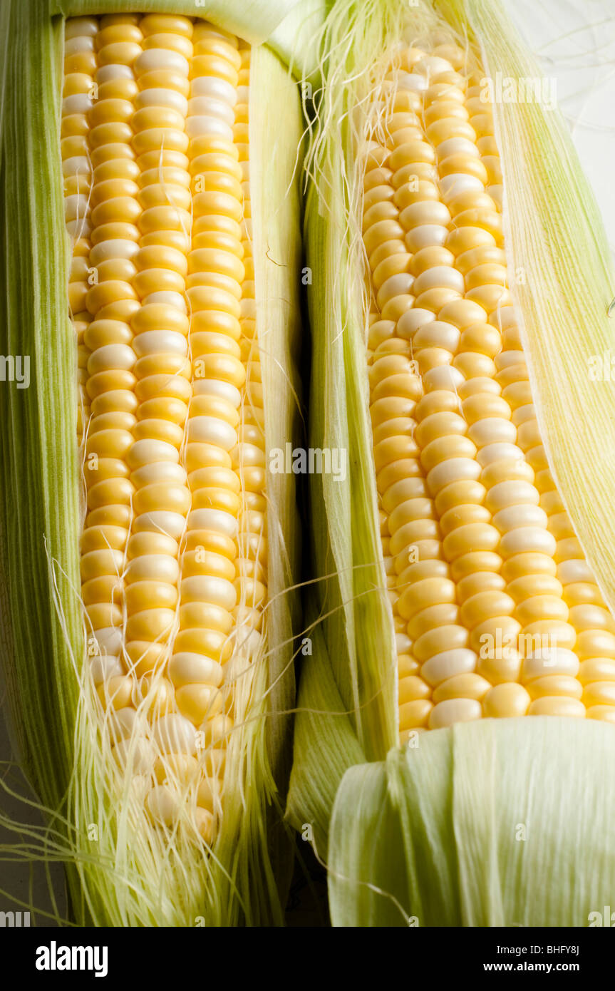 corn on the cob with husk Stock Photo - Alamy