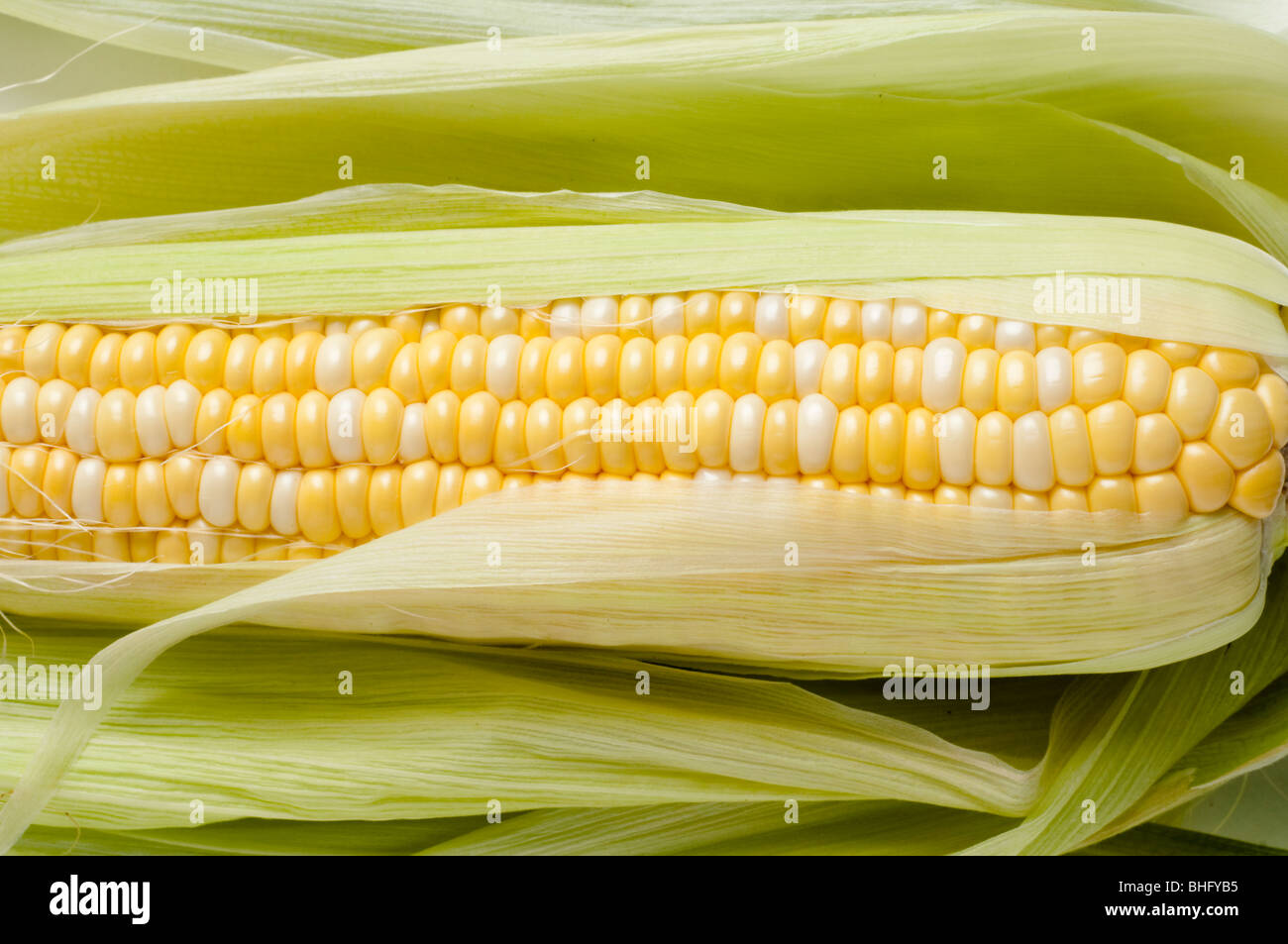 corn on the cob with husk Stock Photo - Alamy