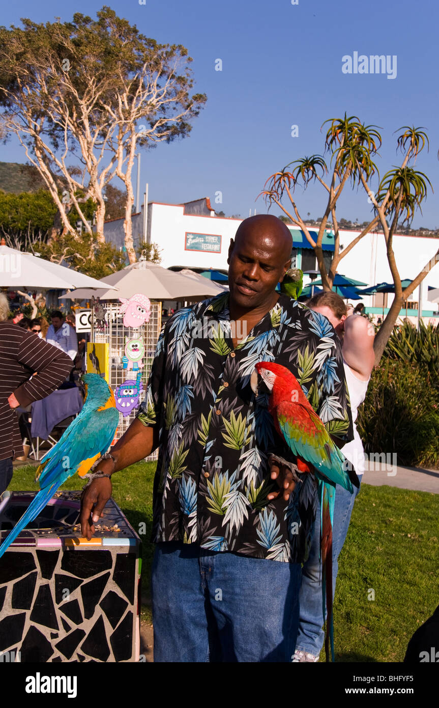 Man with parrots Stock Photo - Alamy