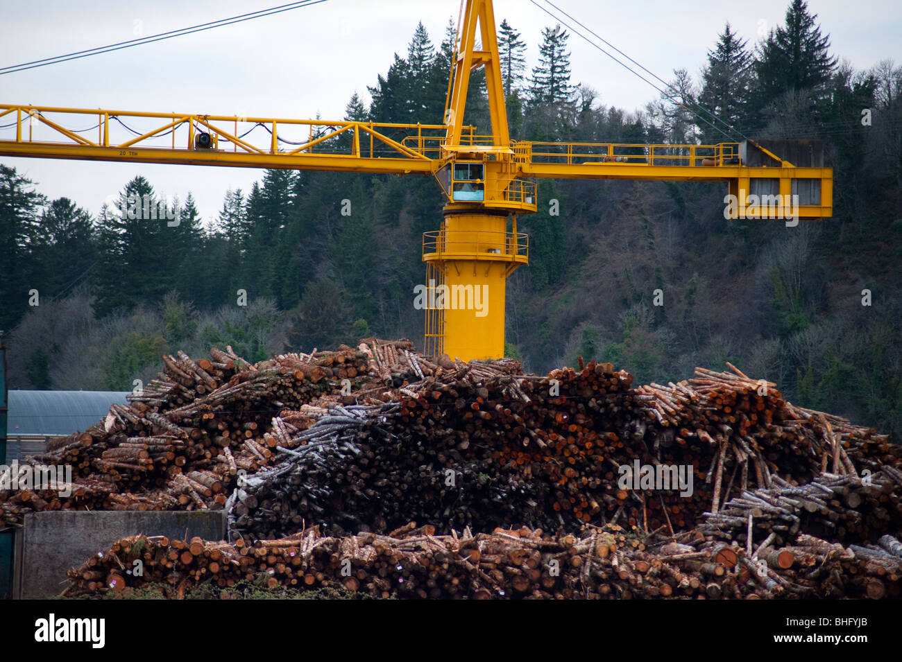 Logs piled up, ready for processing at a paper mill Stock Photo - Alamy