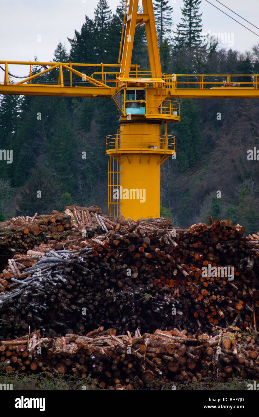 Pulp Mill Logging Pulp High Resolution Stock Photography and Images - Alamy