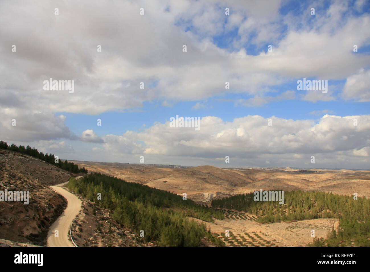 Yatir forest hi-res stock photography and images - Alamy