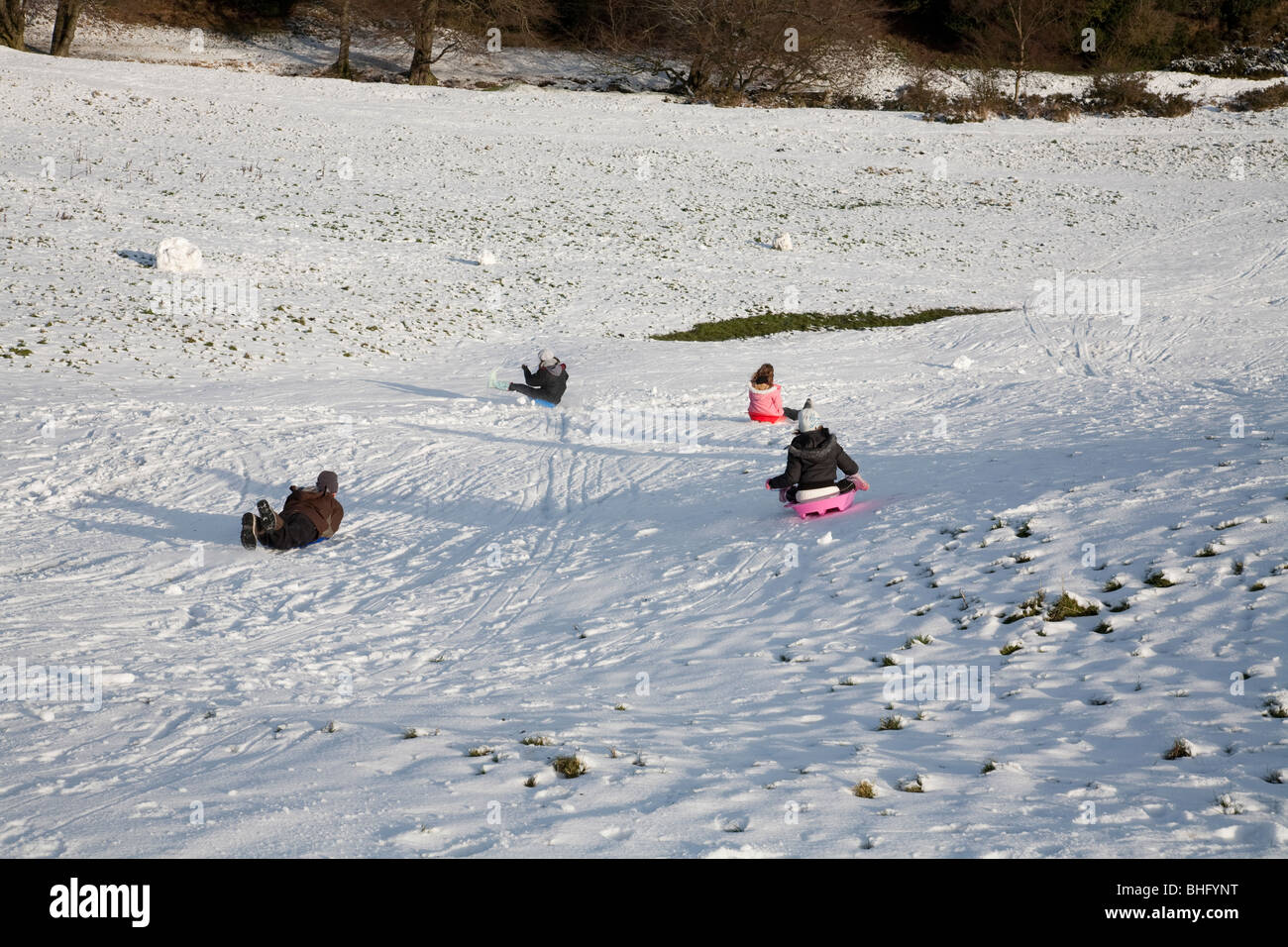 A family sledging on the slopes above Sheffield Stock Photo - Alamy