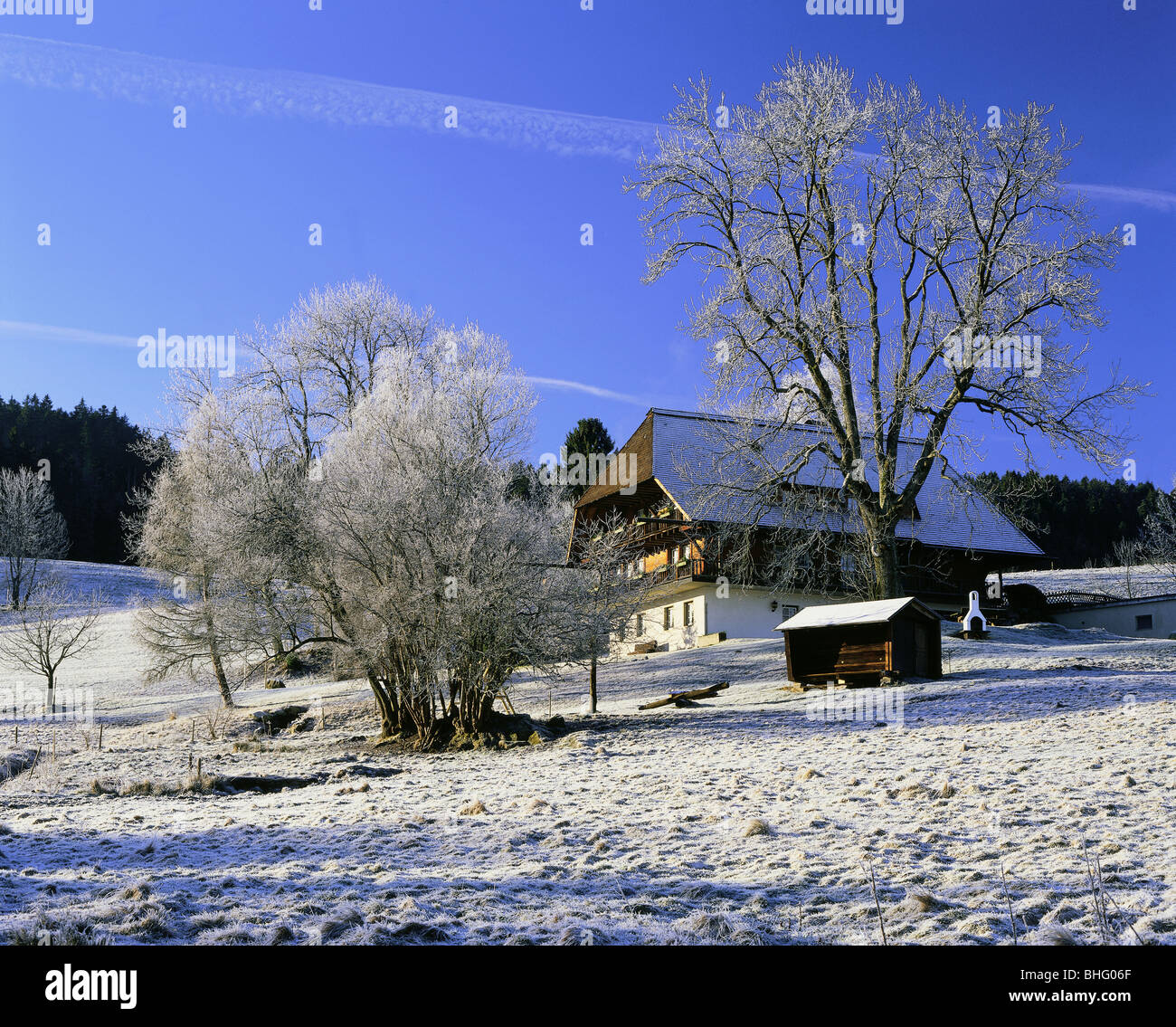 Hinterzarten house hi-res stock photography and images - Alamy