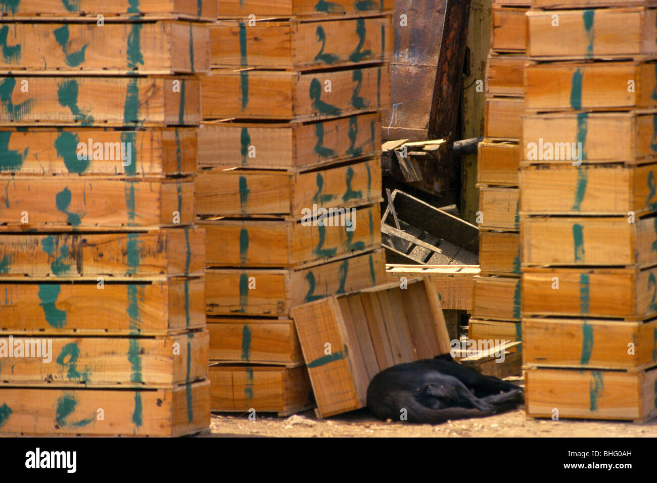 Rabat Morocco Wooden boxes Stock Photo - Alamy