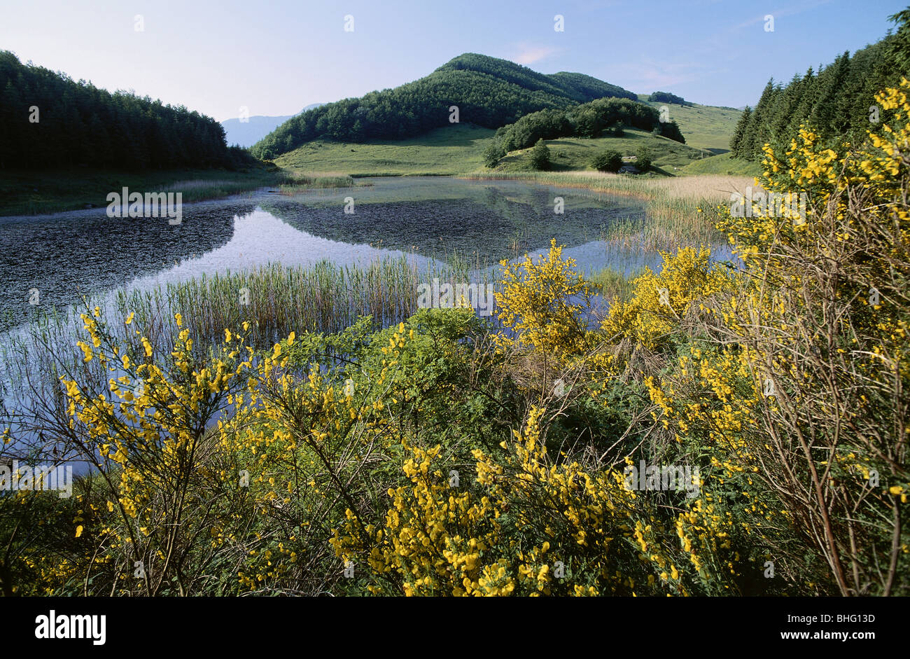 Pratignano High Resolution Stock Photography and Images - Alamy