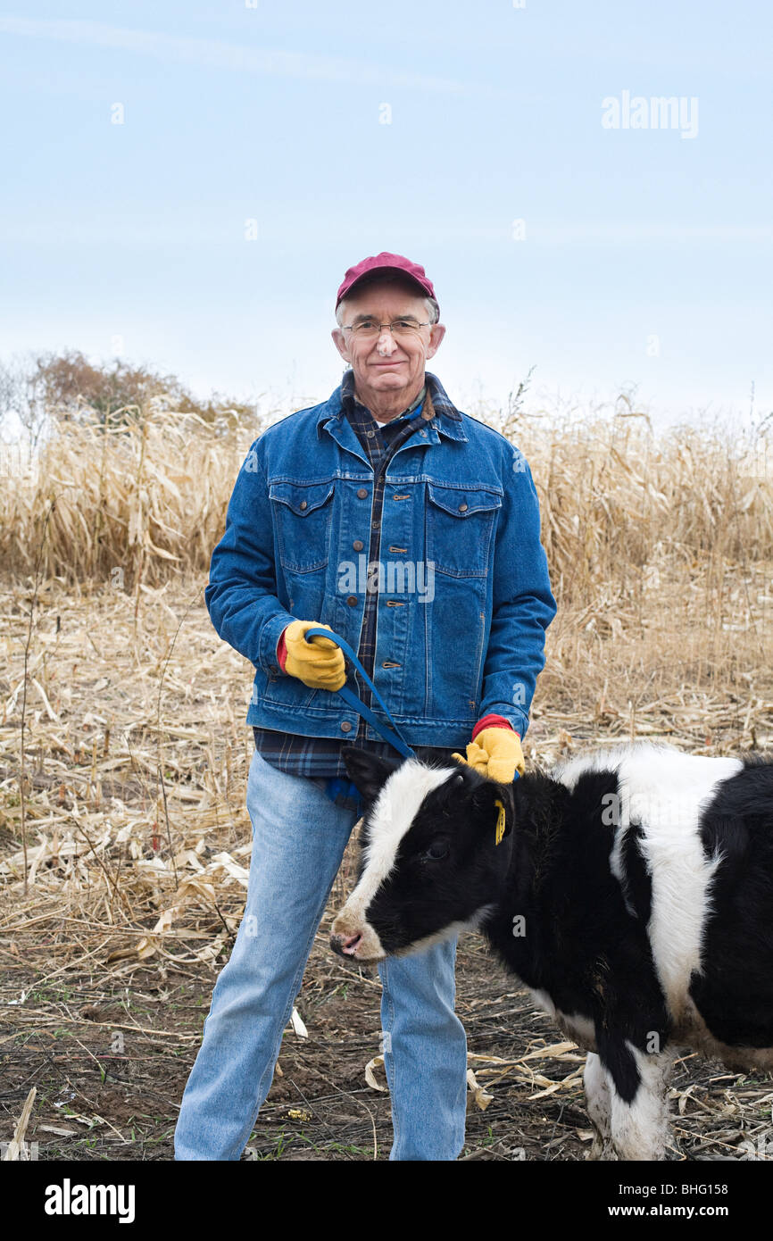 Farmer with a calf Stock Photo - Alamy