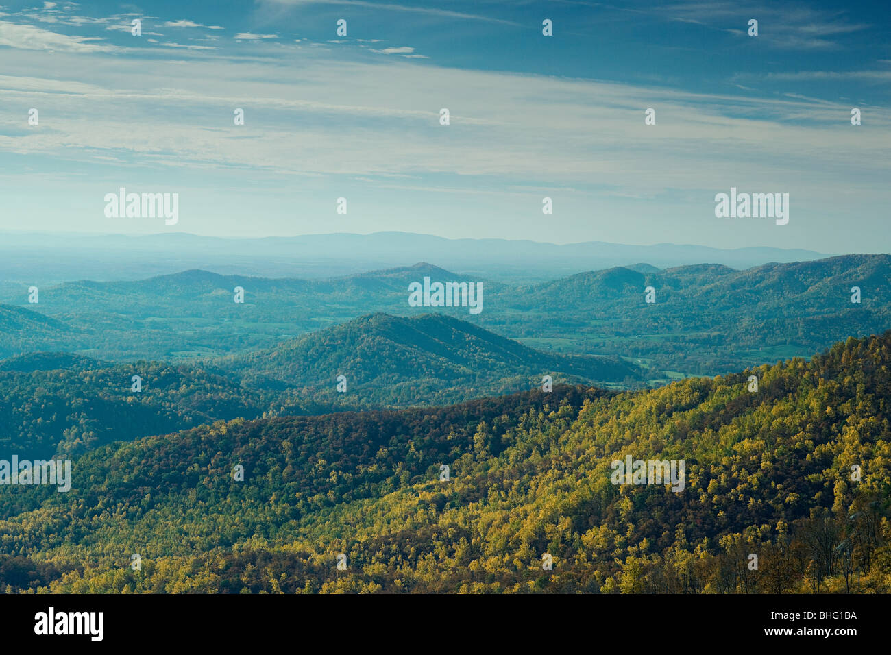 Tree over exterior hi-res stock photography and images - Alamy