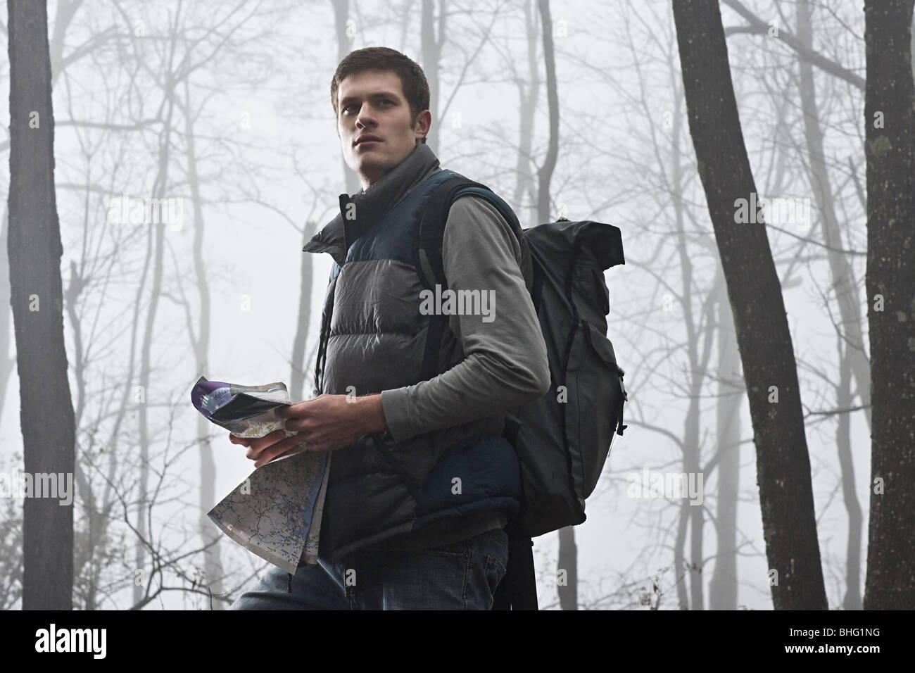 North american forest map hi-res stock photography and images - Alamy