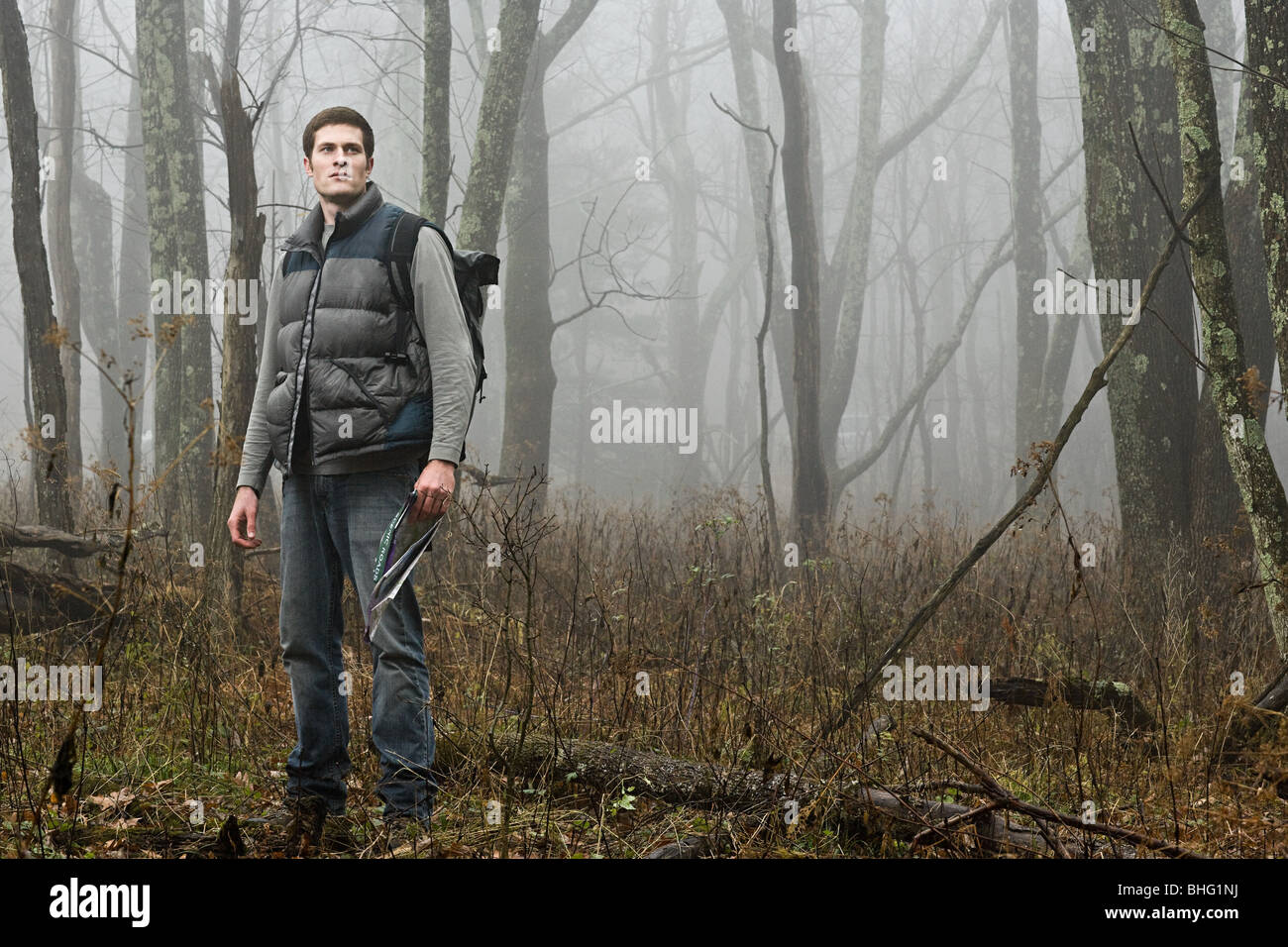 Opening in the forest hi-res stock photography and images - Alamy